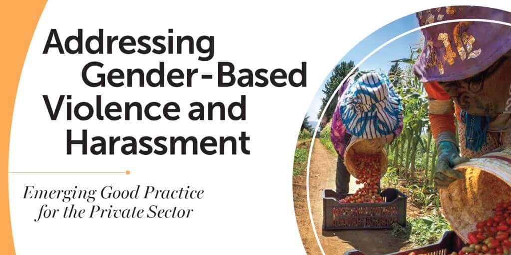 Addressing Gender Based Violence and Harassment (GBVH): Merging Good ...