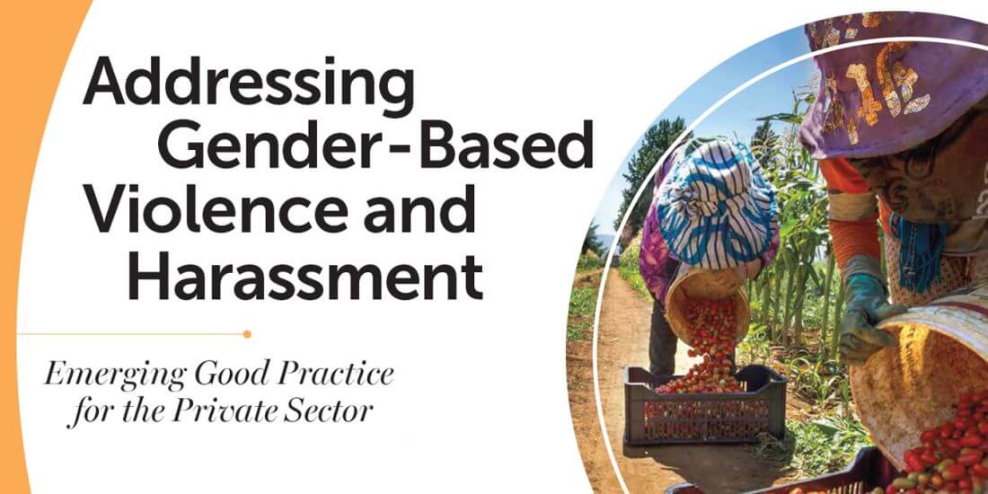Addressing Gender Based Violence and Harassment (GBVH): Merging Good ...